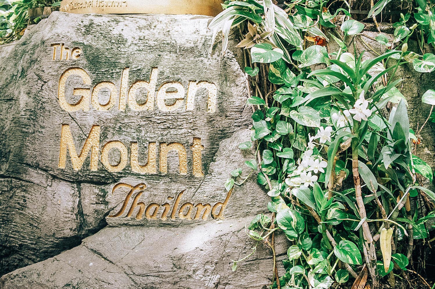 Visiting The Golden Mount in Bangkok - Amy Morgan & Co