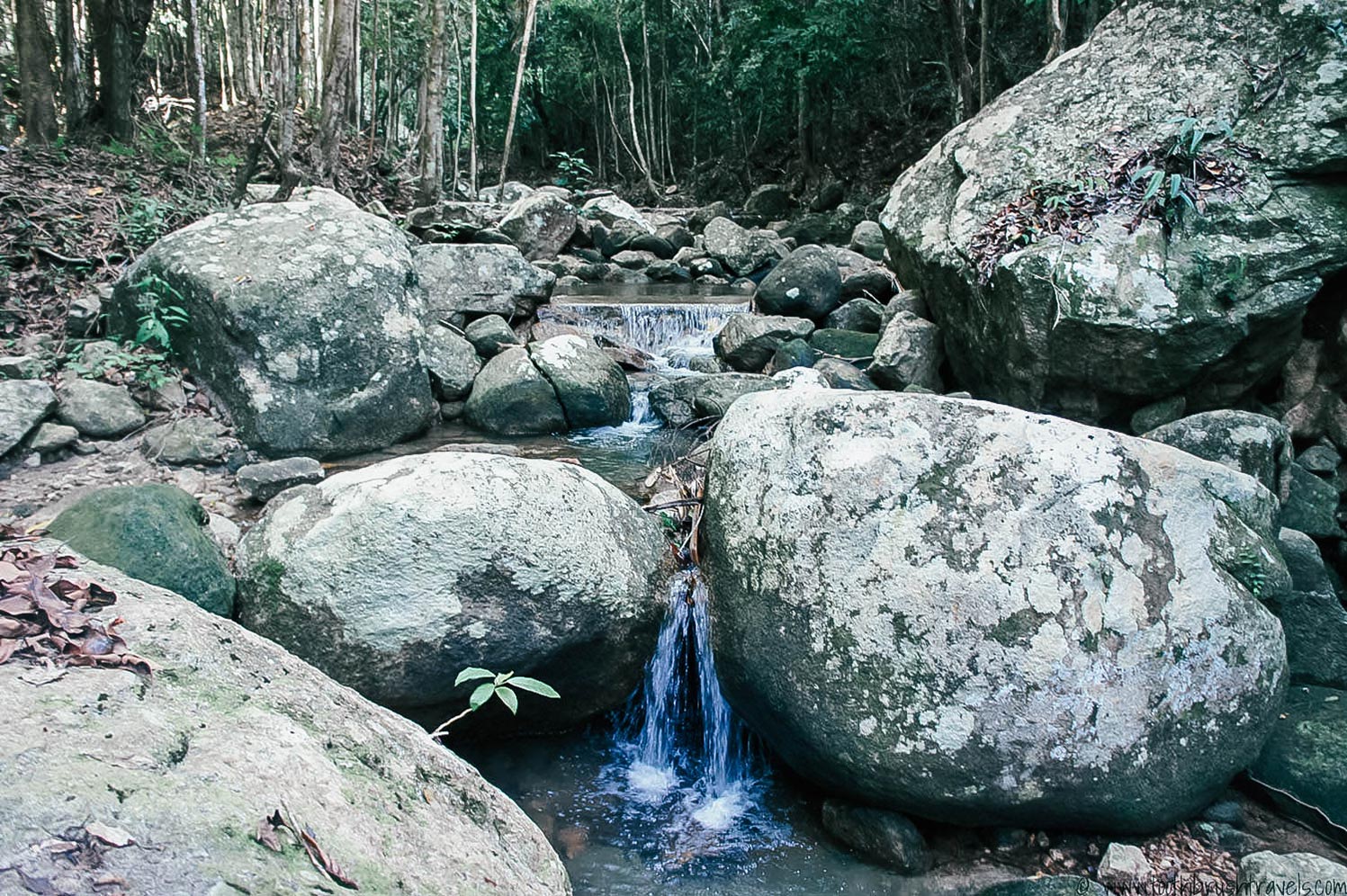 Exploring Phaeng Waterfall in Koh Phangan - Amy Morgan & Co