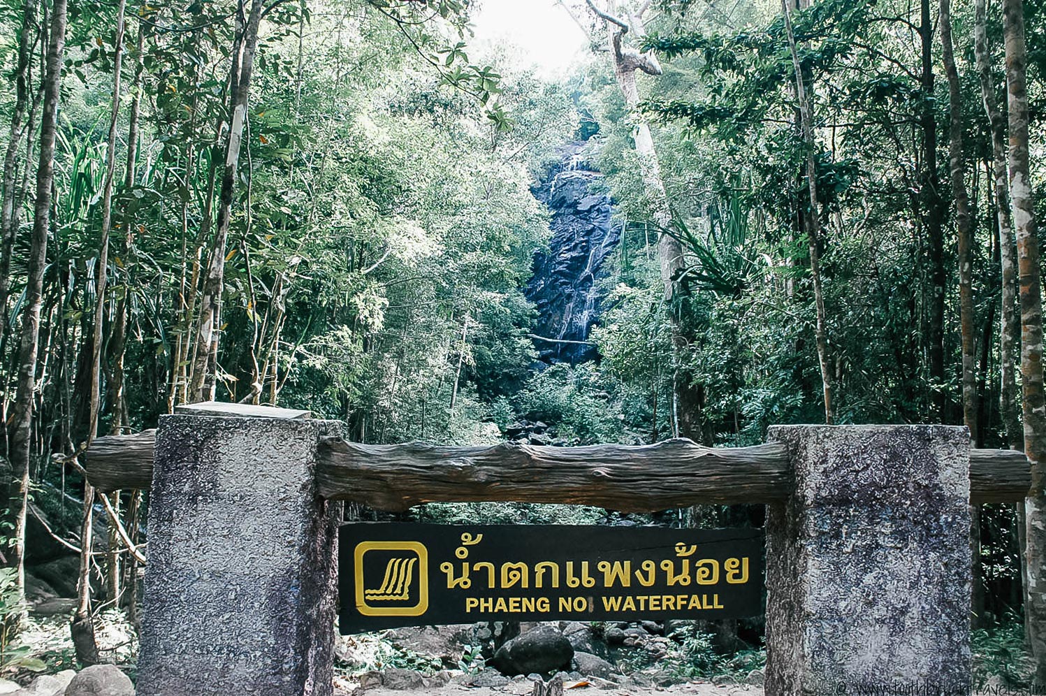 Exploring Phaeng Waterfall in Koh Phangan - Amy Morgan & Co