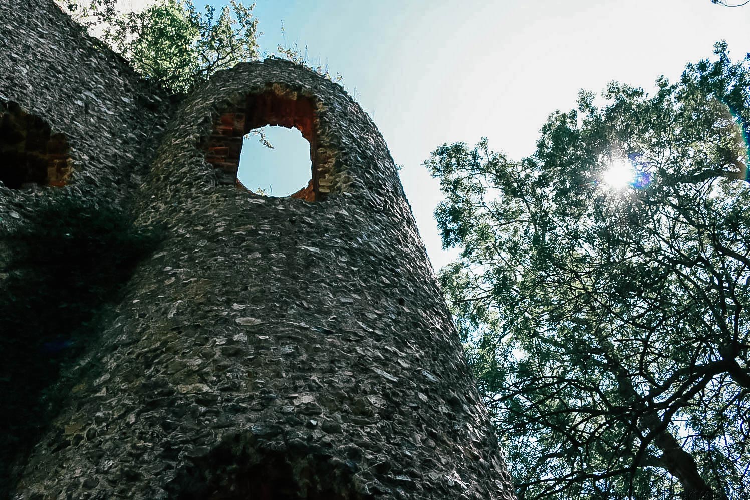 Exploring Racton Ruins in Chichester - Amy Morgan & Co
