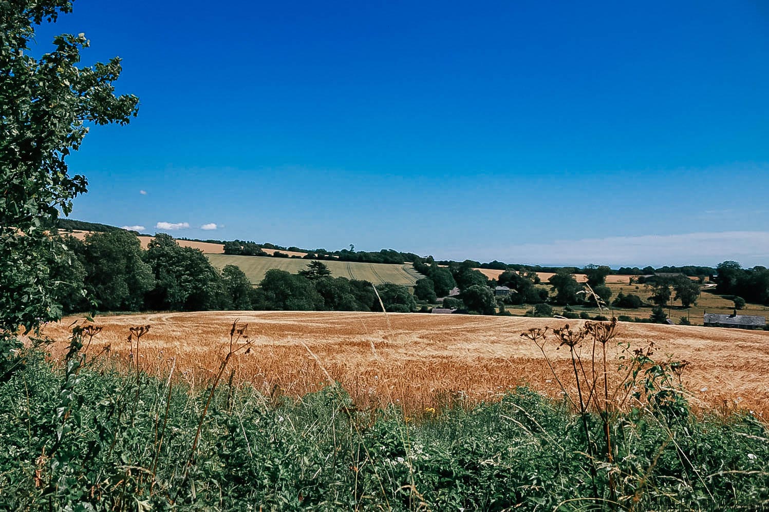 Exploring Racton Ruins in Chichester - Amy Morgan & Co
