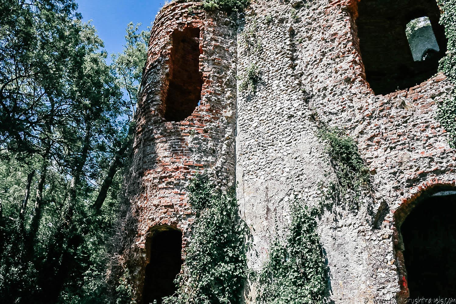 Exploring Racton Ruins in Chichester - Amy Morgan & Co