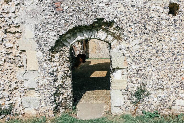 Walking Around Boxgrove Ruins - Amy Morgan & Co