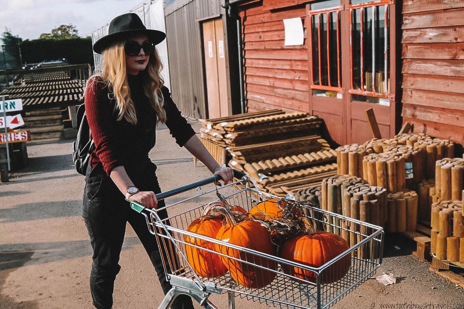 Pumpkin Picking at Pickwell Farm - Amy Morgan & Co
