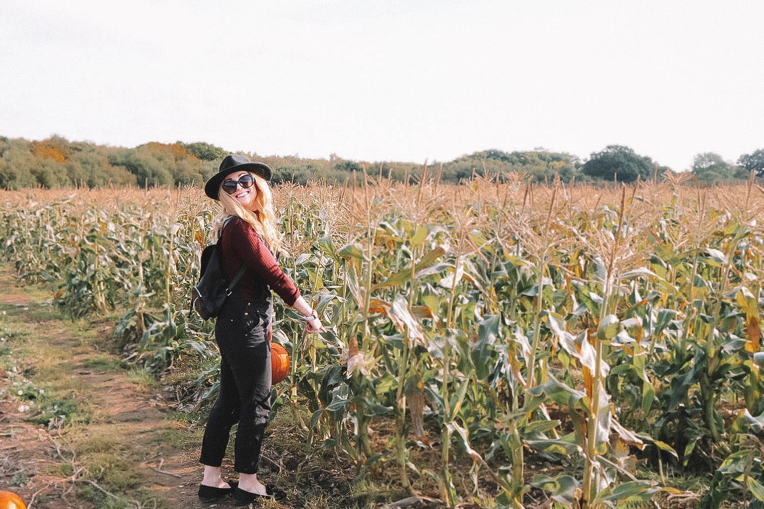 Pumpkin Picking at Pickwell Farm - Amy Morgan & Co