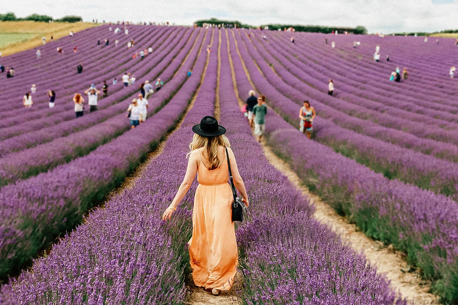 Things To Do In Chichester | The Things You Shouldn't Miss