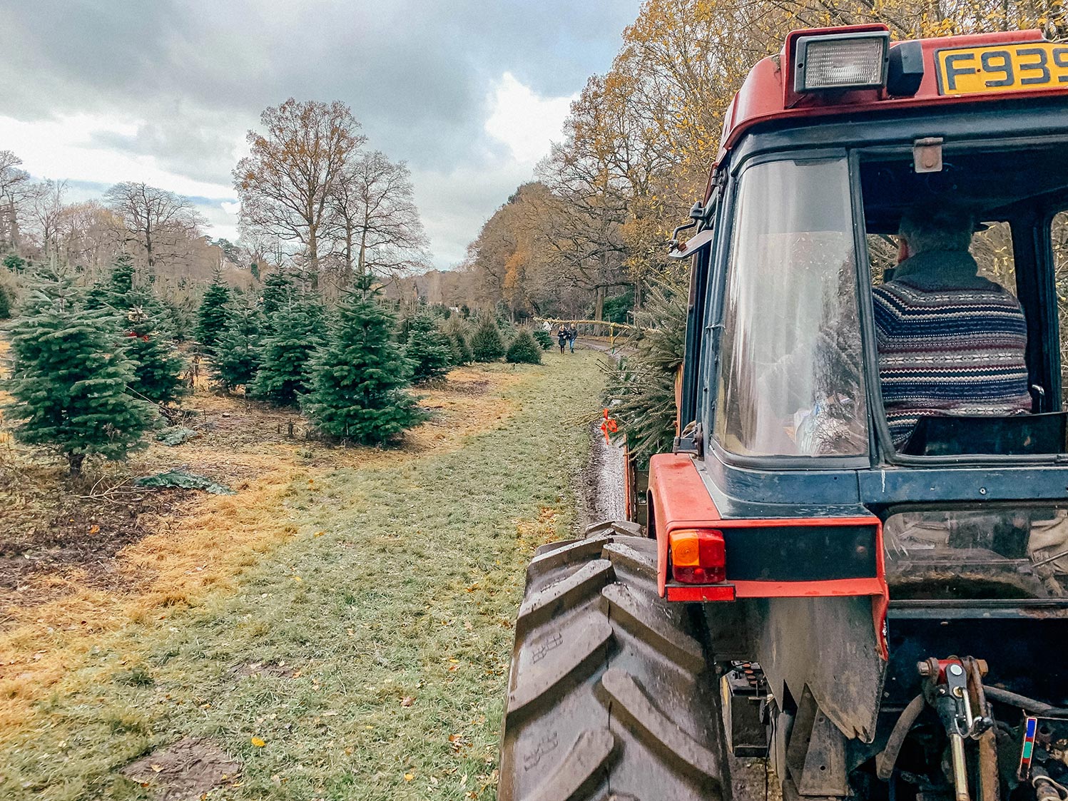 A Trip to Wylds Farm to Pick Your Own Christmas Tree - Amy Morgan & Co