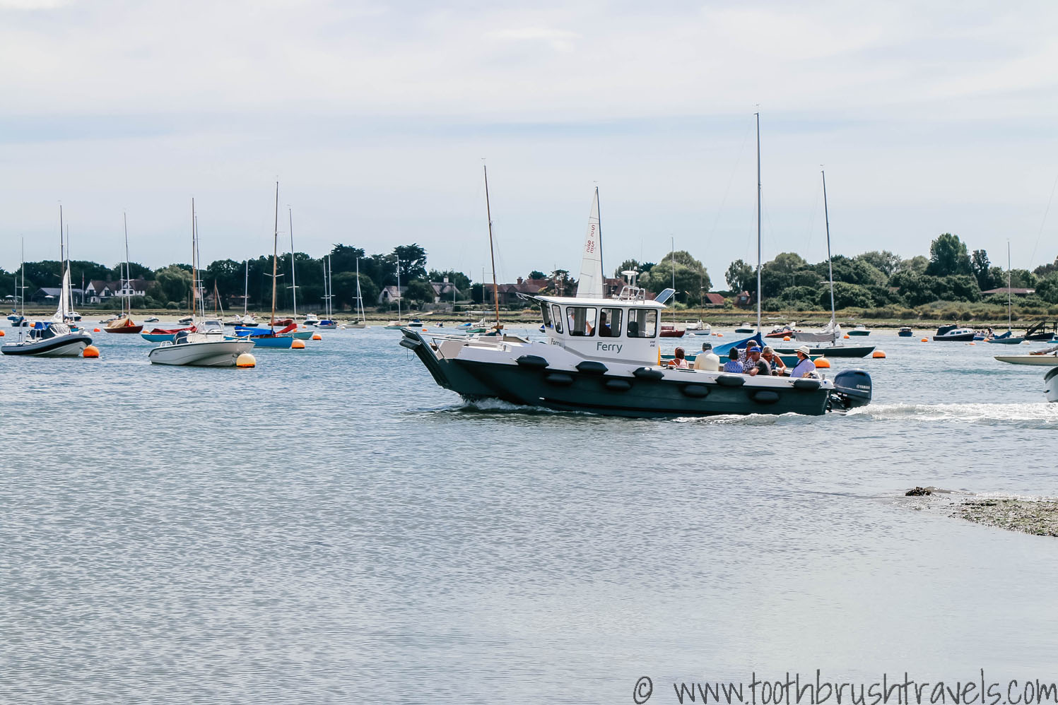 Salterns Way: My Favourite Cycling Route - Amy Morgan & Co