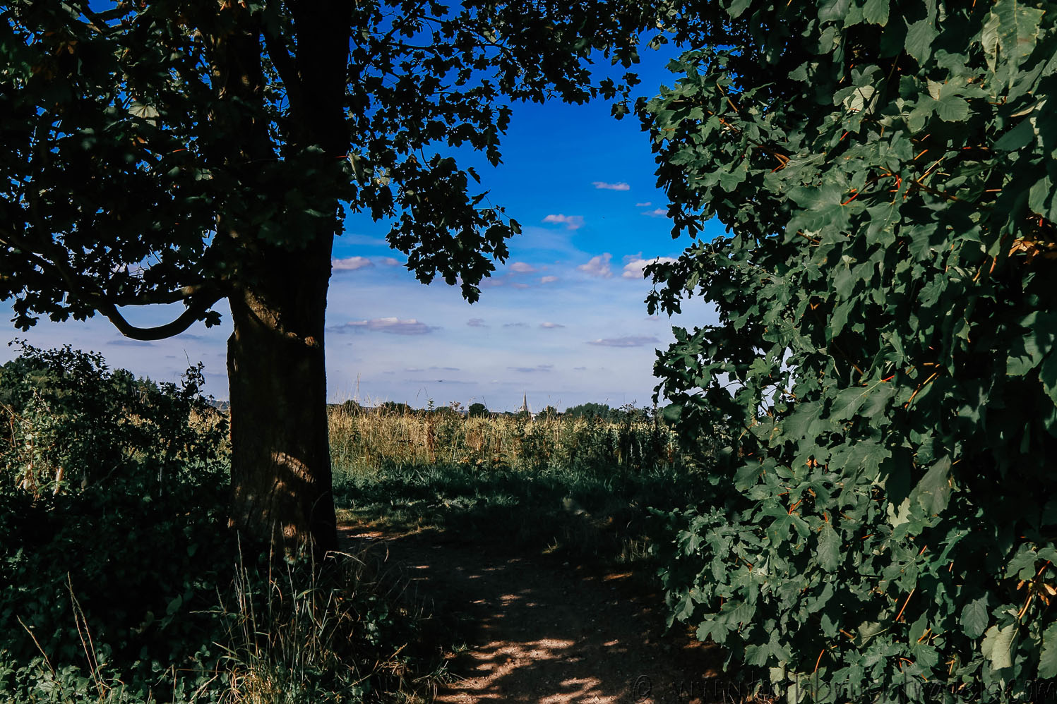 Salterns Way: My Favourite Cycling Route - Amy Morgan & Co